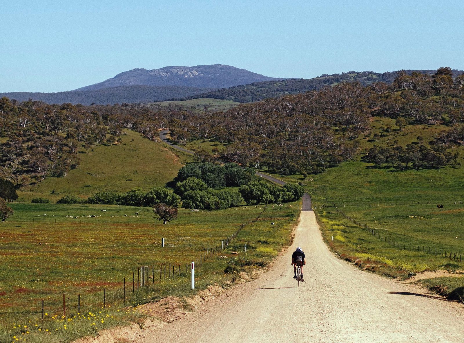 Review: Trek Madone Gen 8 - Cyclist Australia/NZ