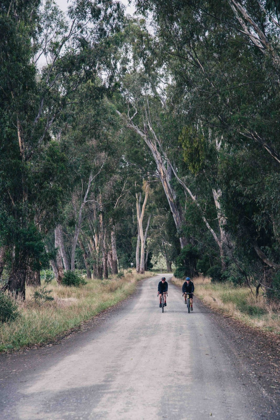 King of the gravel: Big Ride King Valley - Cyclist Australia/NZ