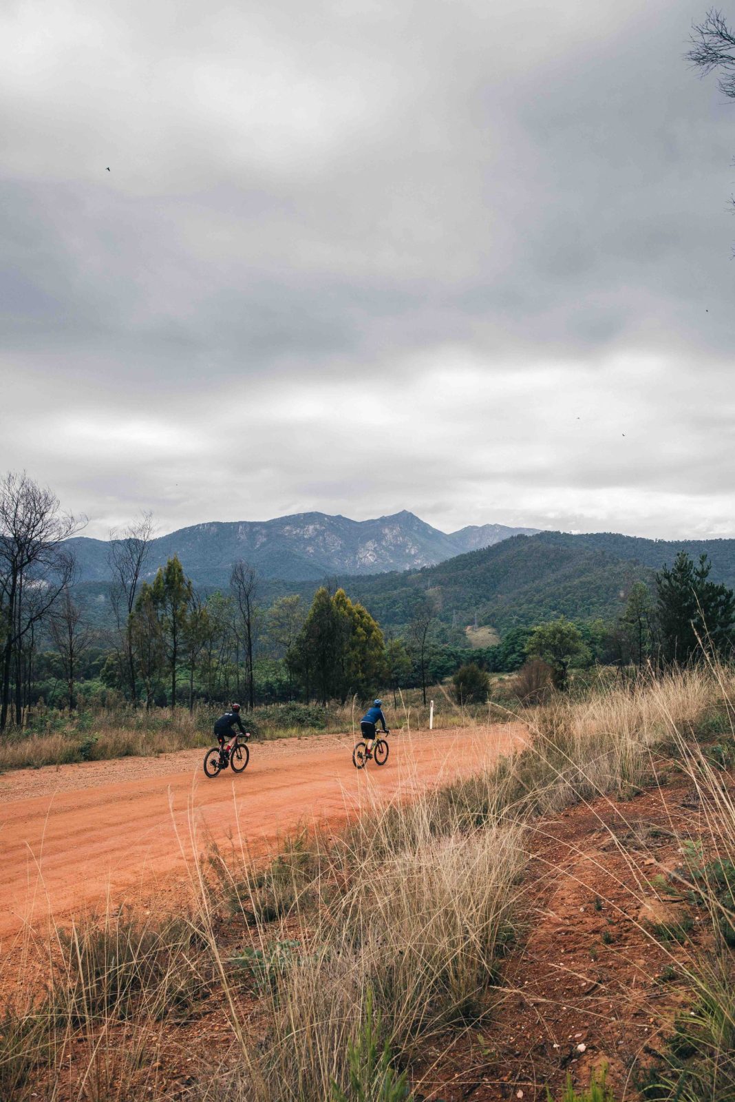 King of the gravel: Big Ride King Valley - Cyclist Australia/NZ